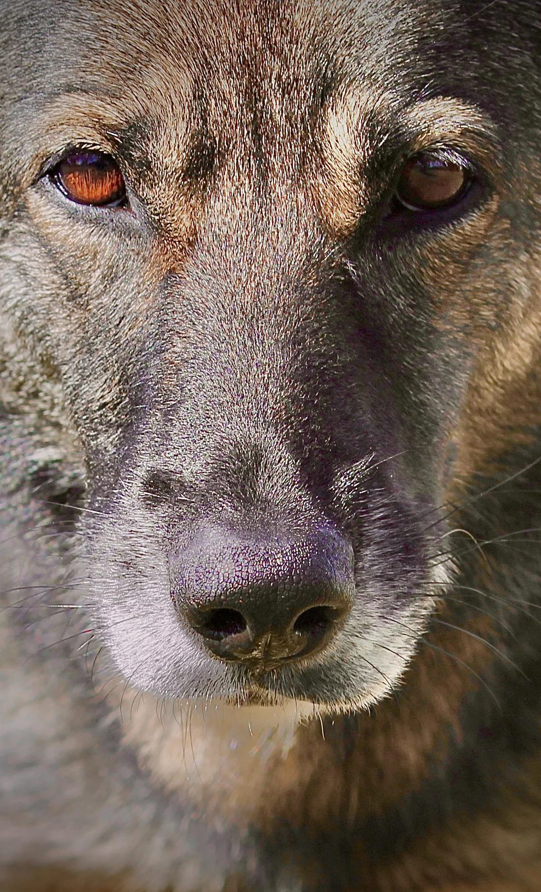 Why so serious? | Scrolller