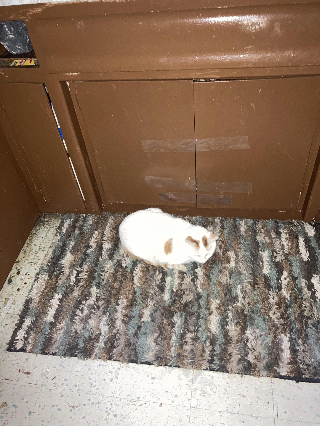 Kitchen carpet loaf | Scrolller
