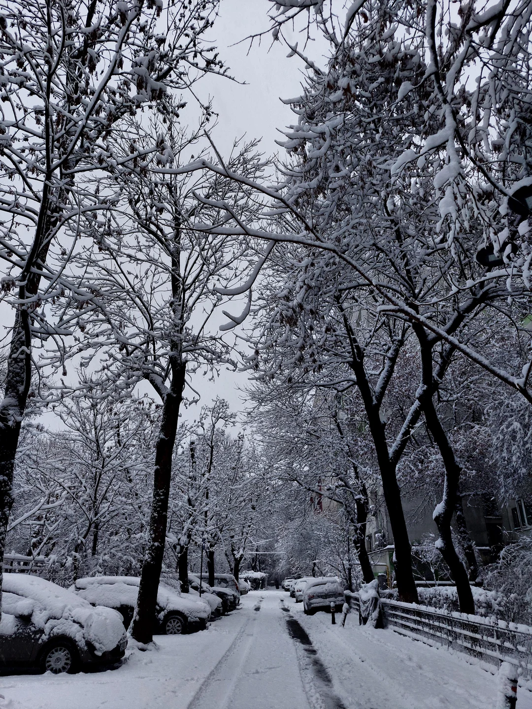 Finally, some decent amount of snow in Bucharest! | Scrolller