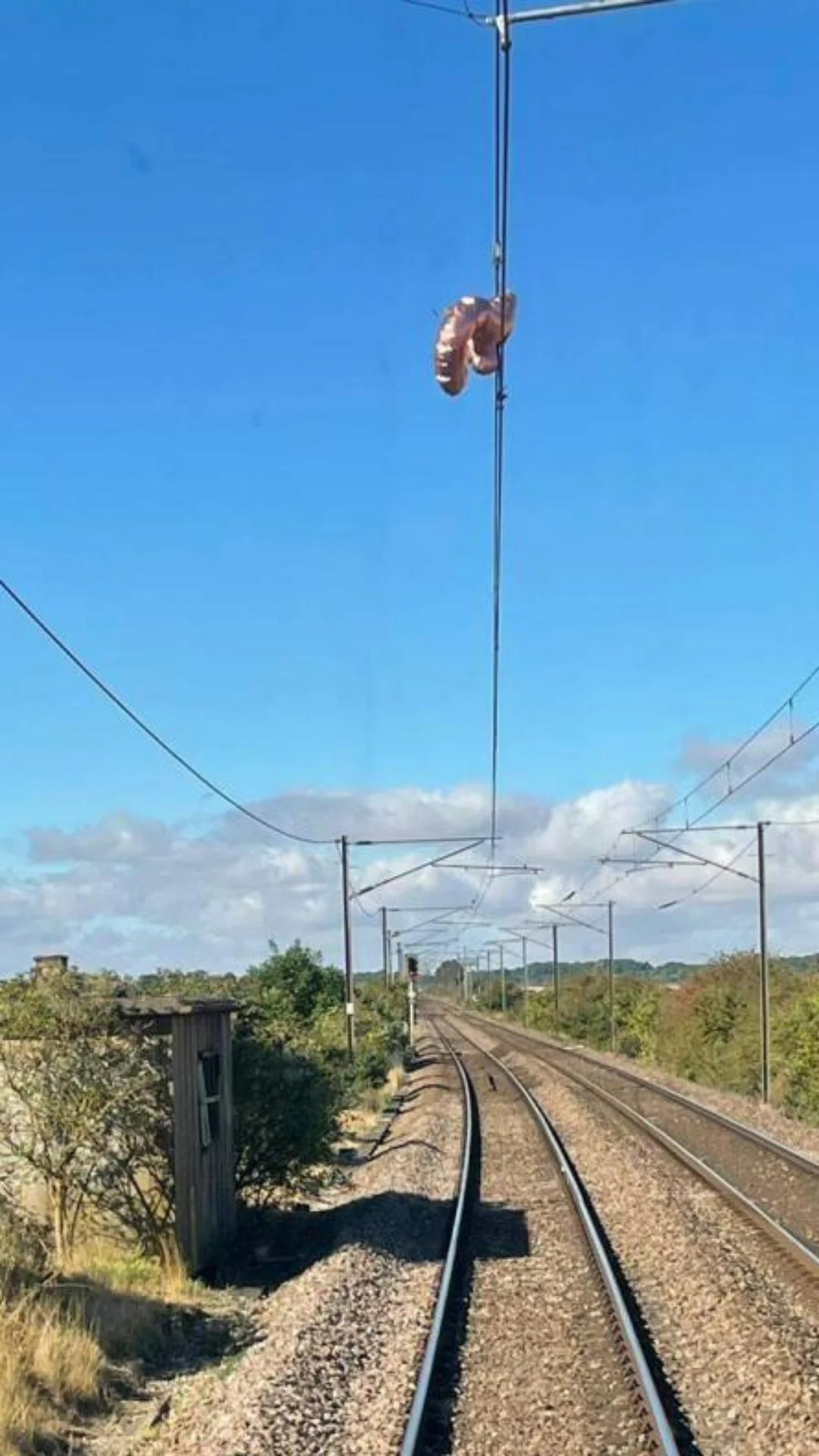 Balloon stuck on overhead train wires. | Scrolller