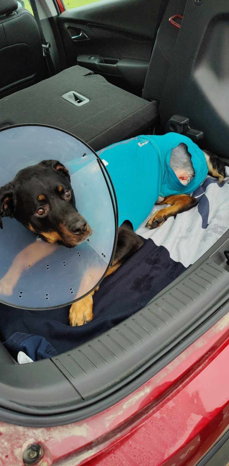 Step one is complete. | Scrolller