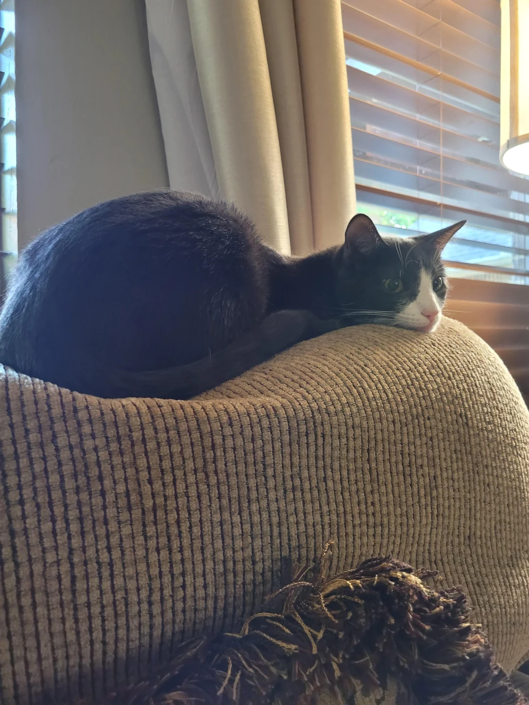 Bread is a bit stale... | Scrolller