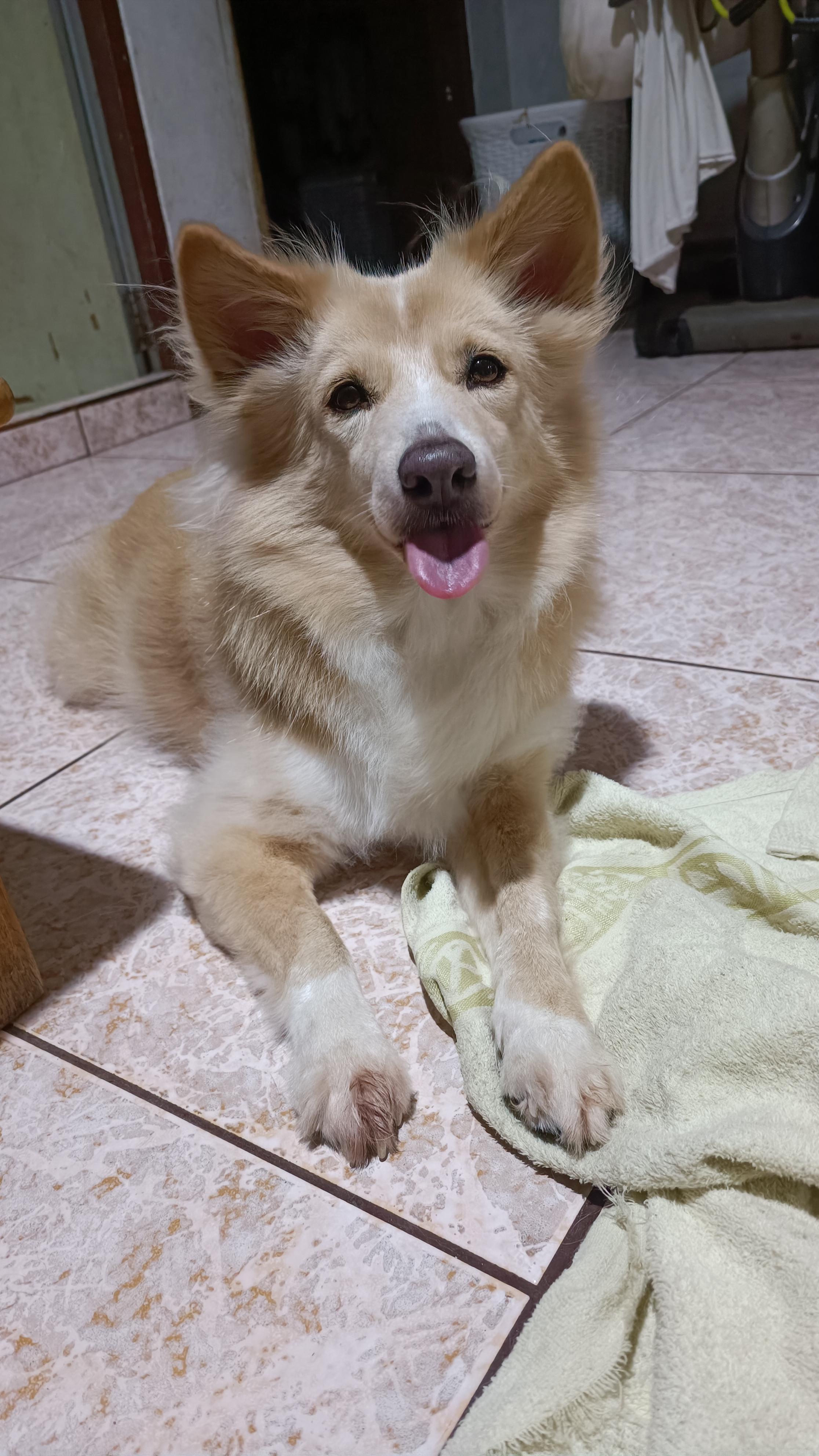 The face she made after getting the snacks | Scrolller