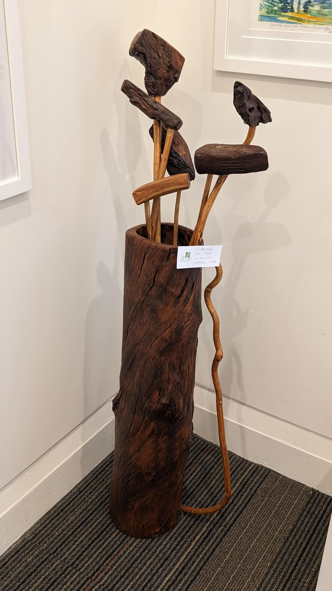 Is this set good for a beginner? | Scrolller