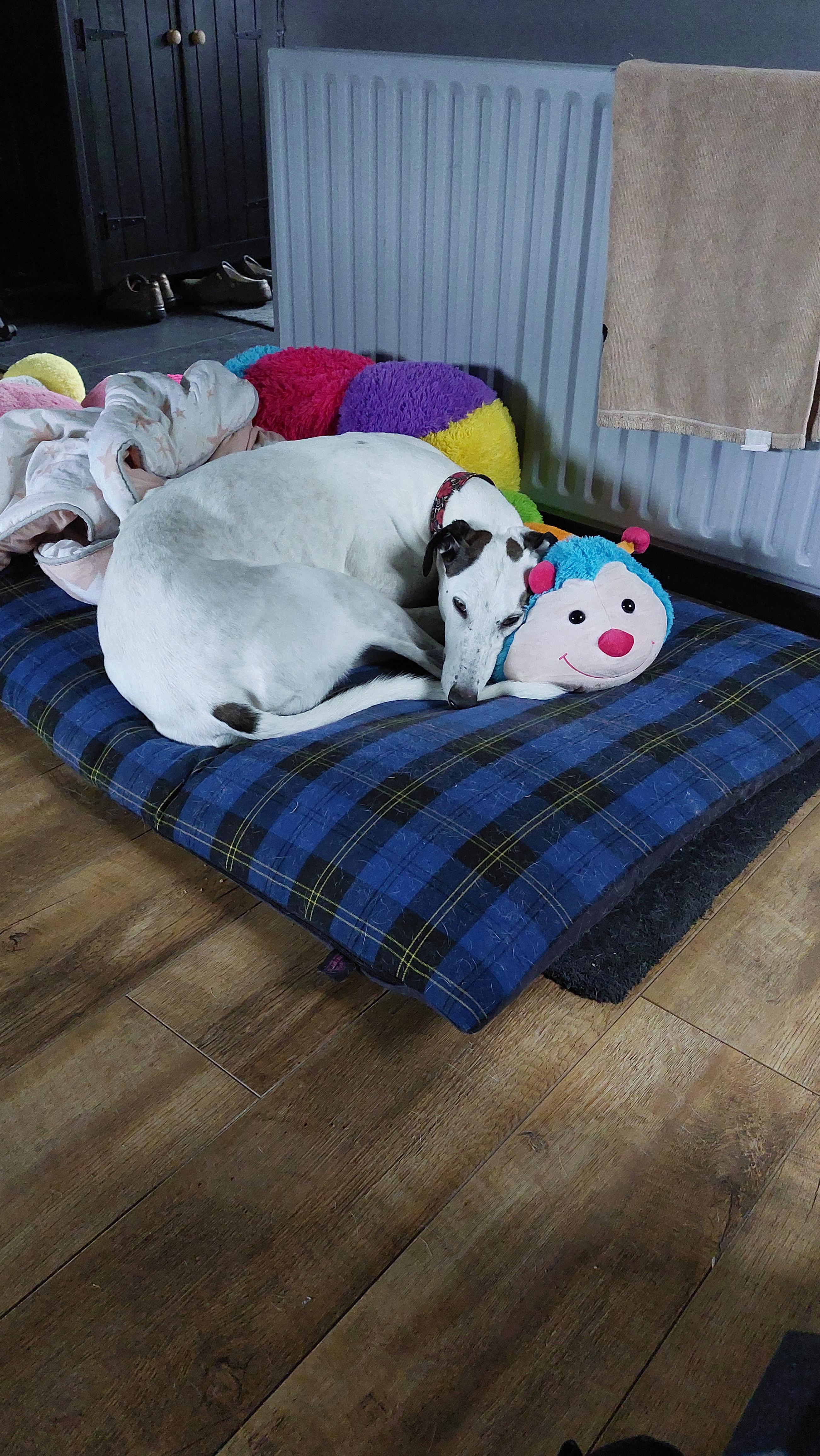 Russell and Cleo | Scrolller