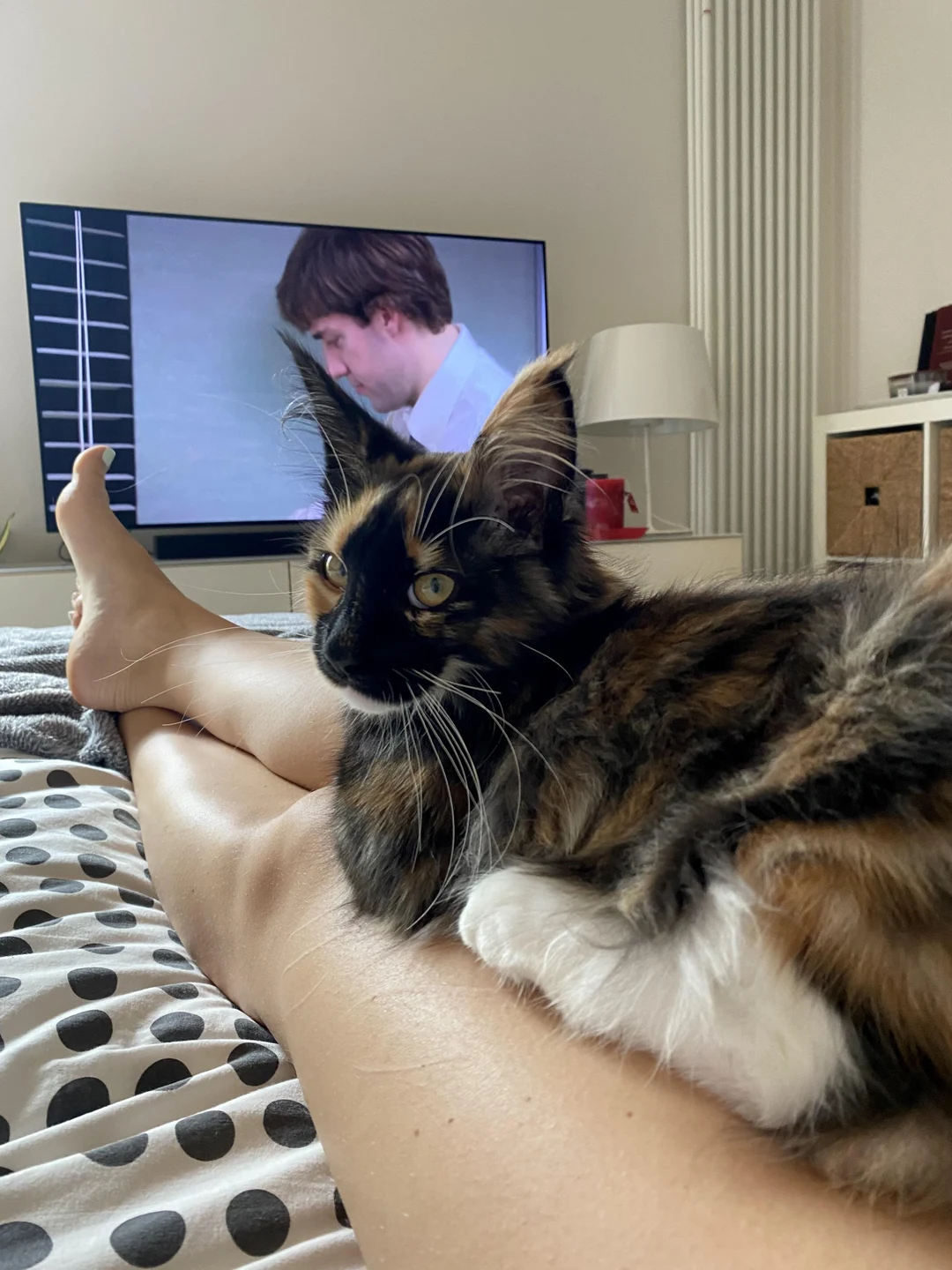 Ottavia and her scratches on my legs | Scrolller