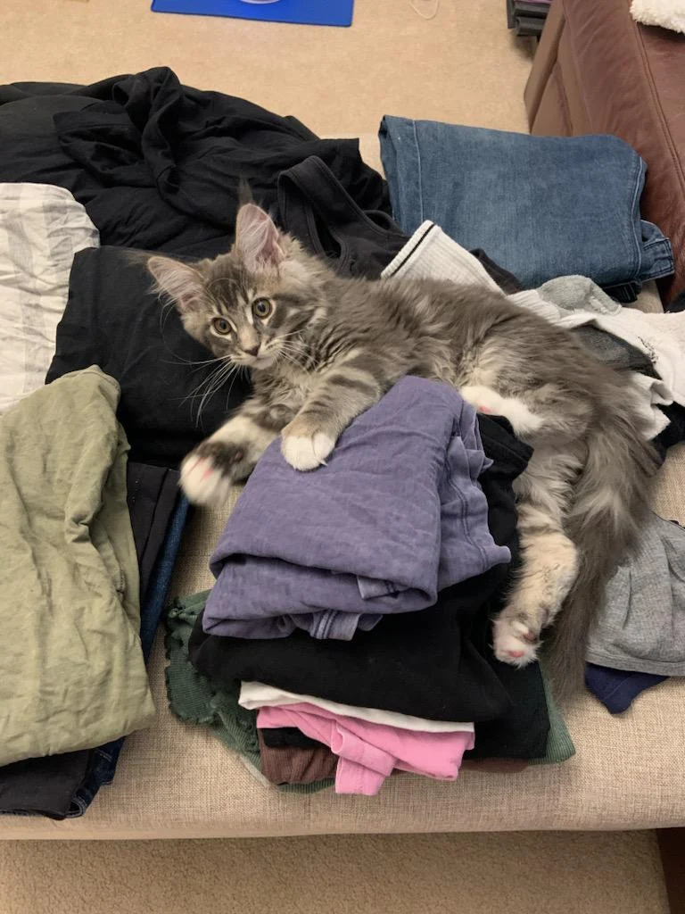 This is helpful right? I'm helping? | Scrolller