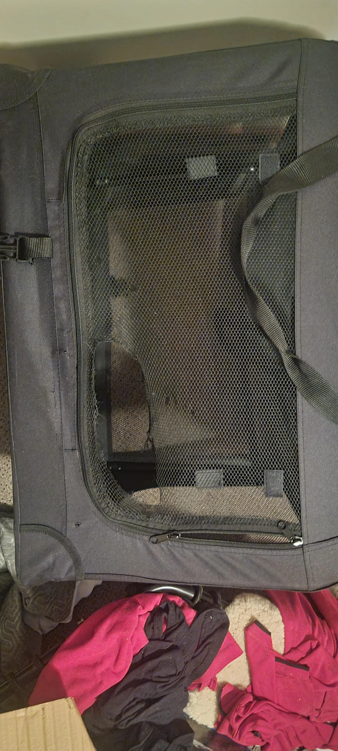 Welp.... separation anxiety training went wrong... | Scrolller