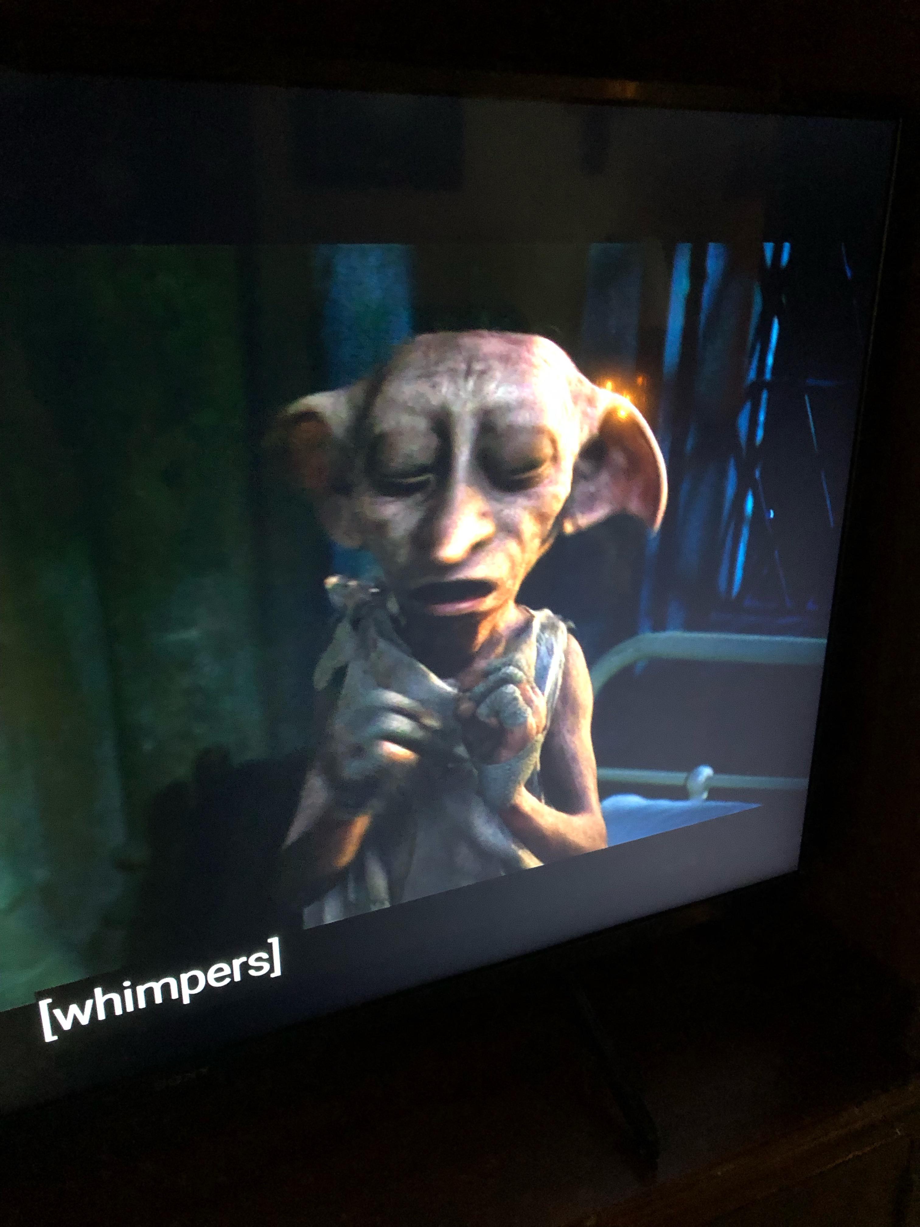 Tell me why Dobby looks like a regular child from Ohio | Scrolller