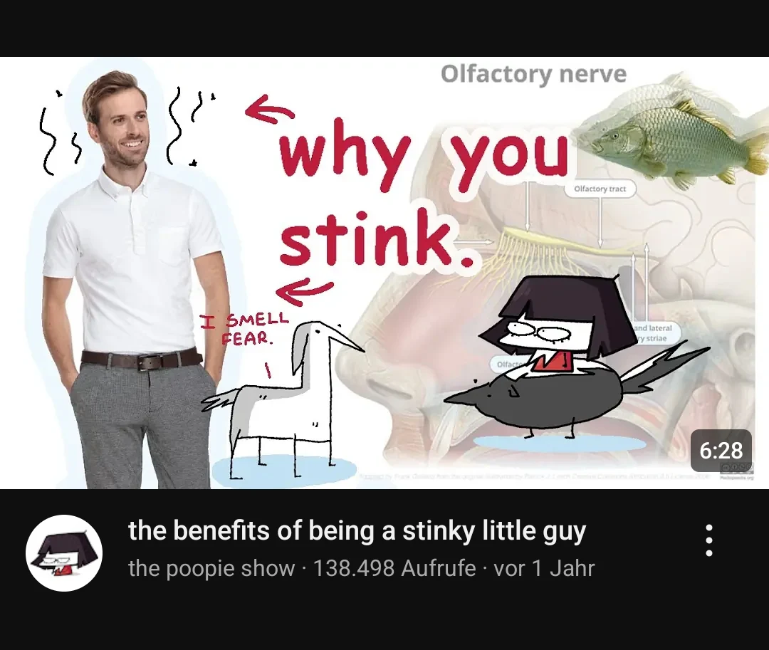 New guide for next tournament just dropped! | Scrolller