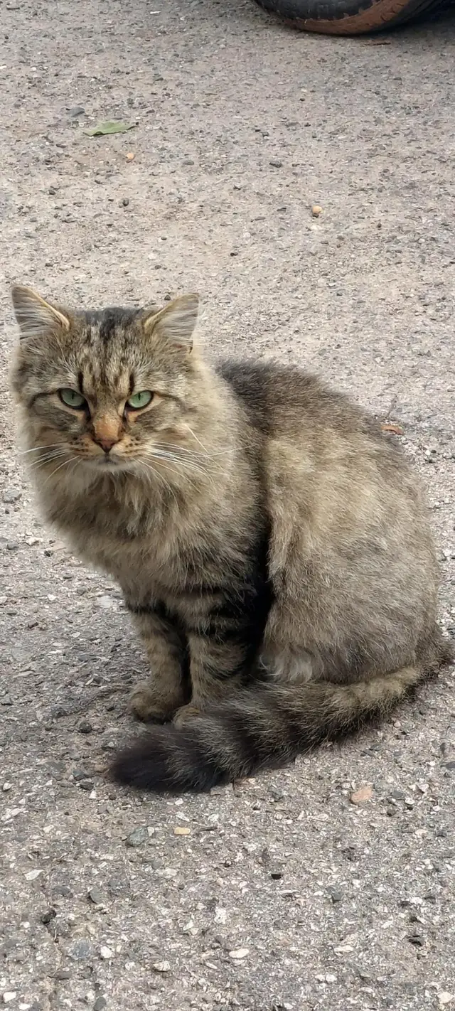 My grumpy sib | Scrolller