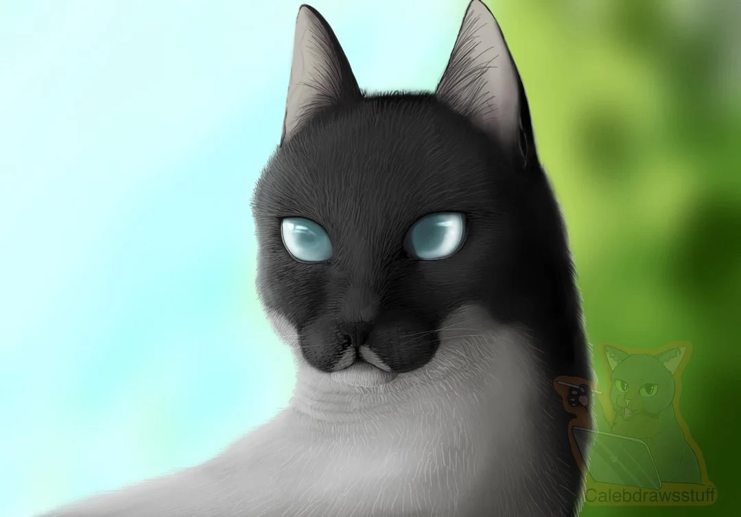 Cat art, me, procreate, 2022 | Scrolller
