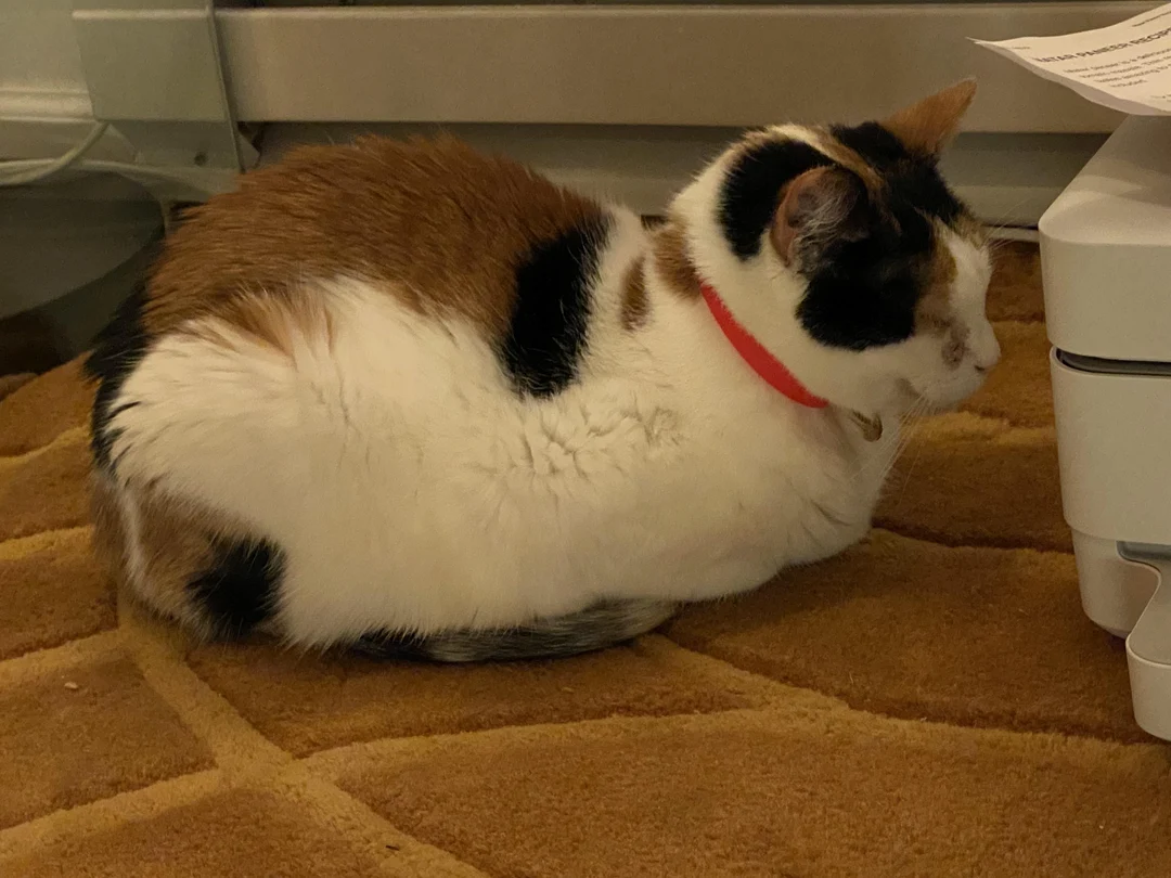 🍞 Freshly baked 🍞 | Scrolller