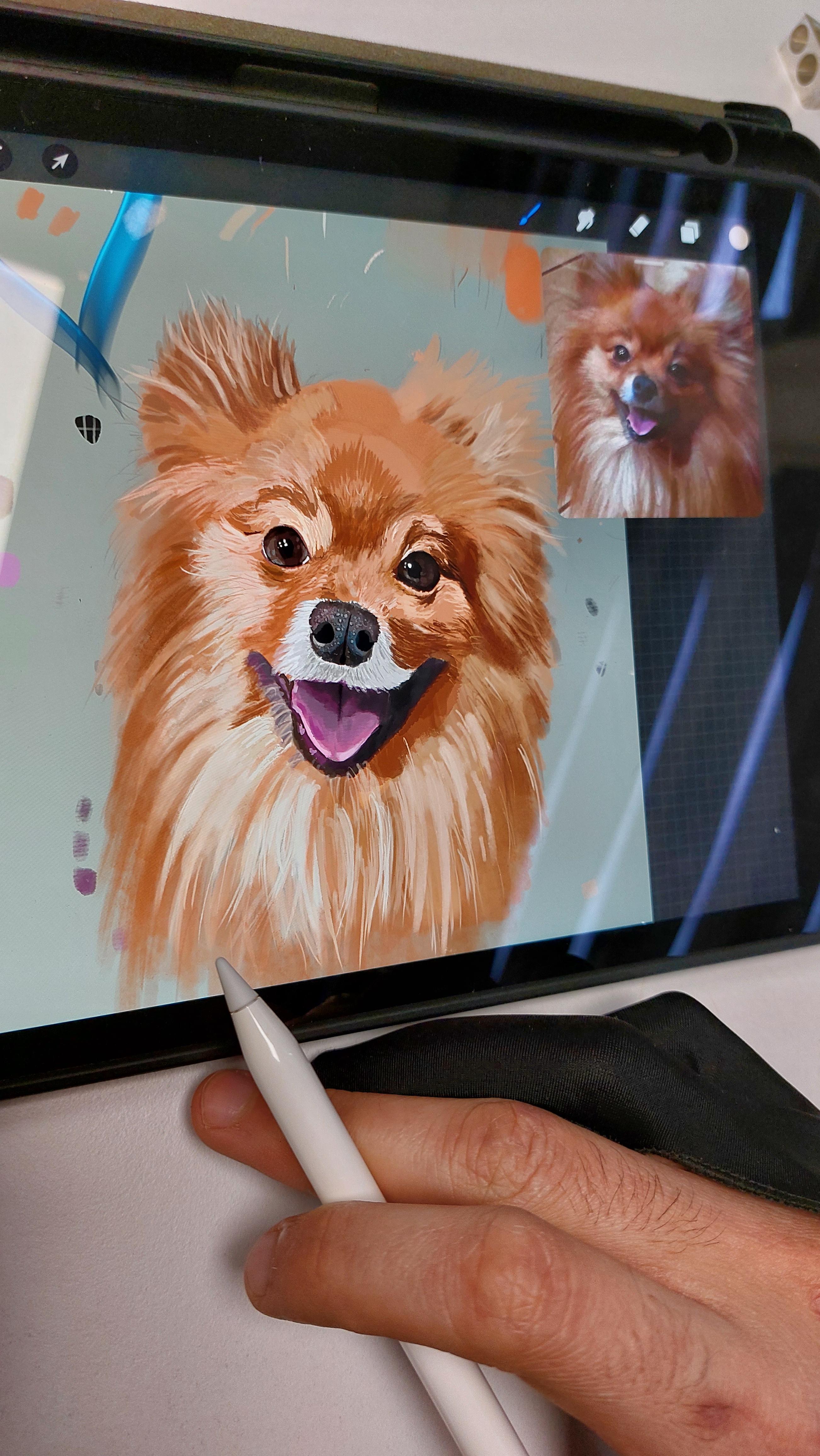 Procreate portrait in progress | Scrolller