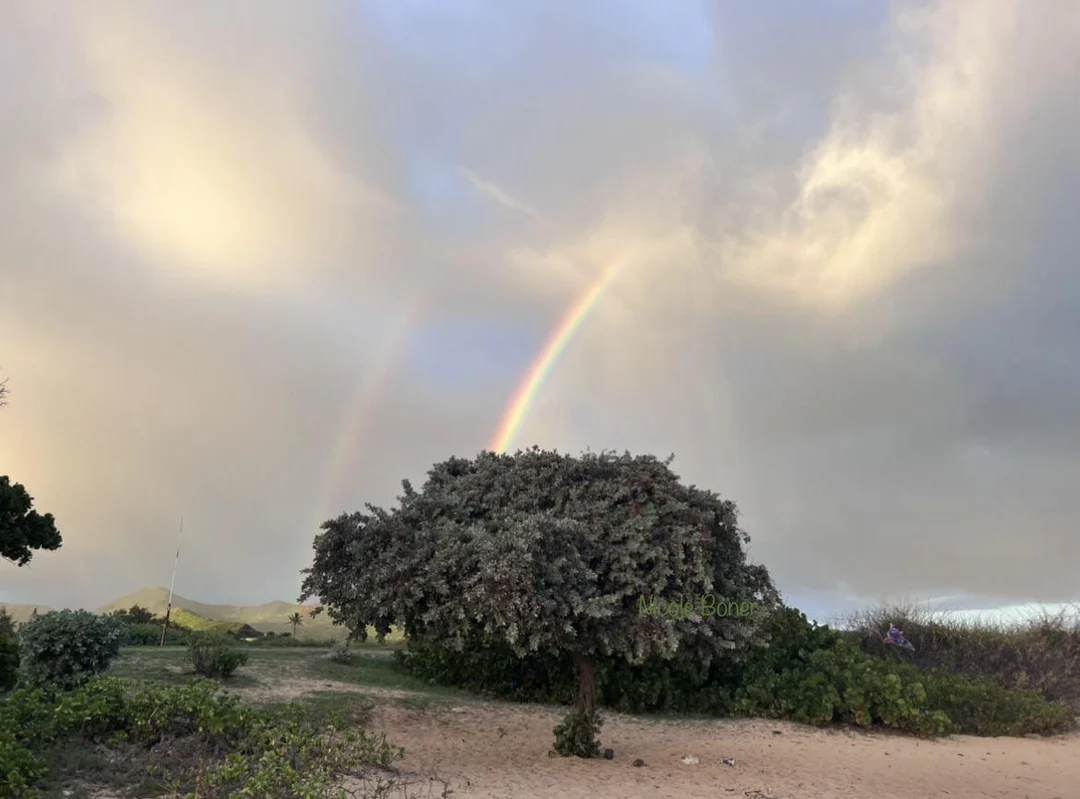 Double Rainbow | Scrolller