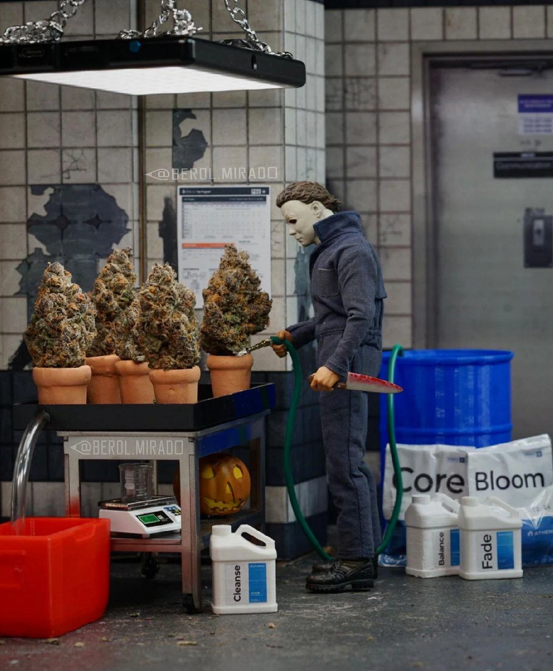 Nightmare blunt rotation? | Scrolller