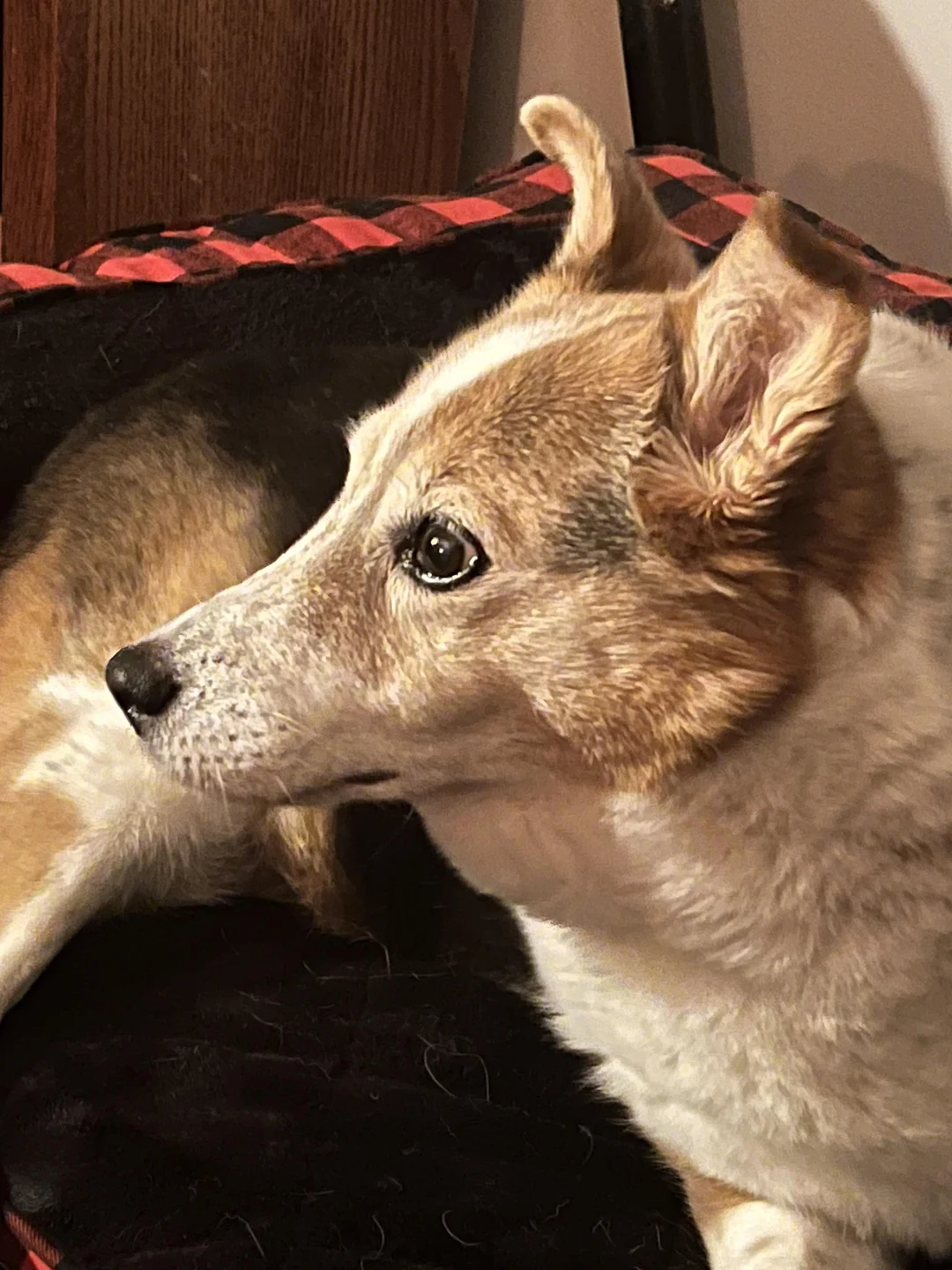 I’m wrecked | Scrolller