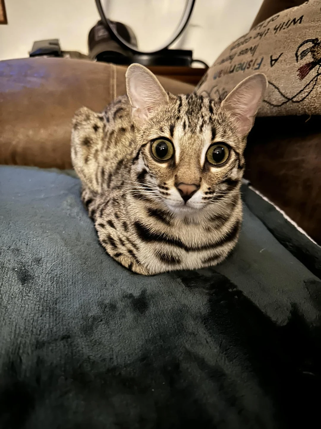 A real loaf | Scrolller