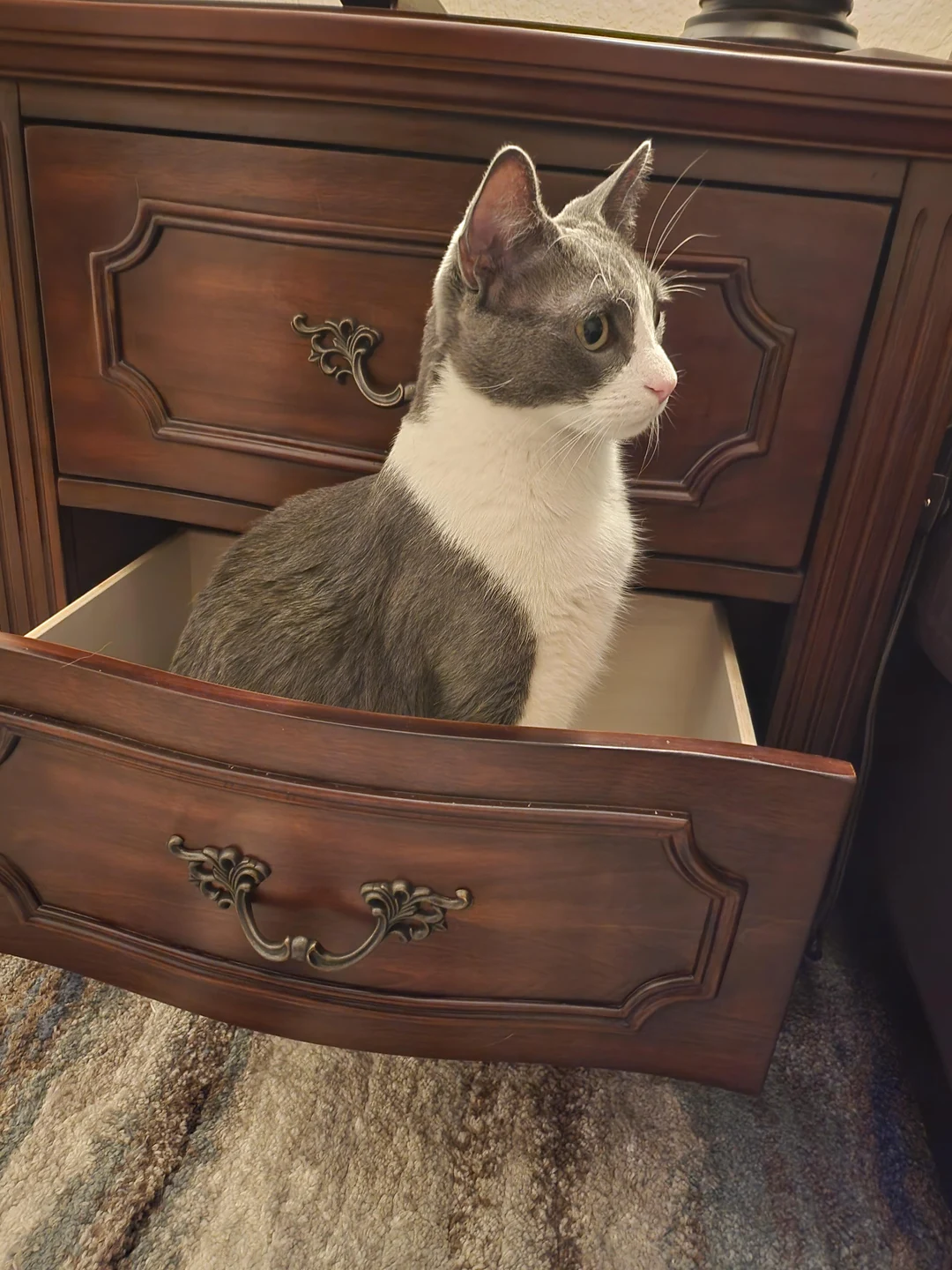 Pretty effective trap | Scrolller