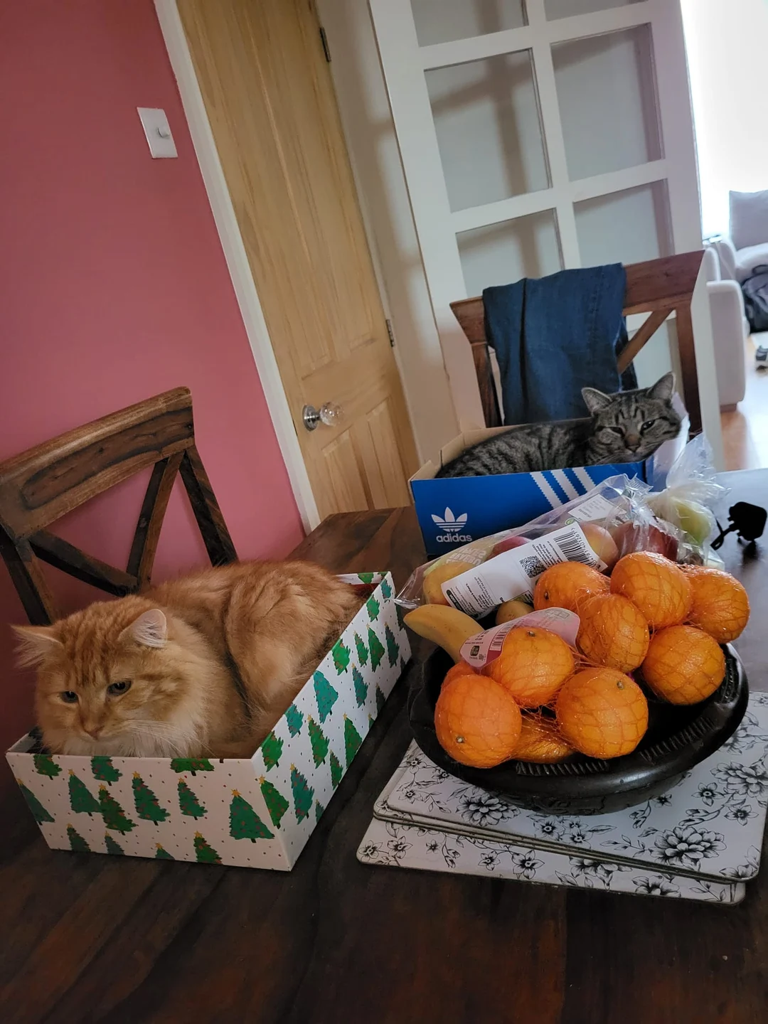 Double trap! | Scrolller