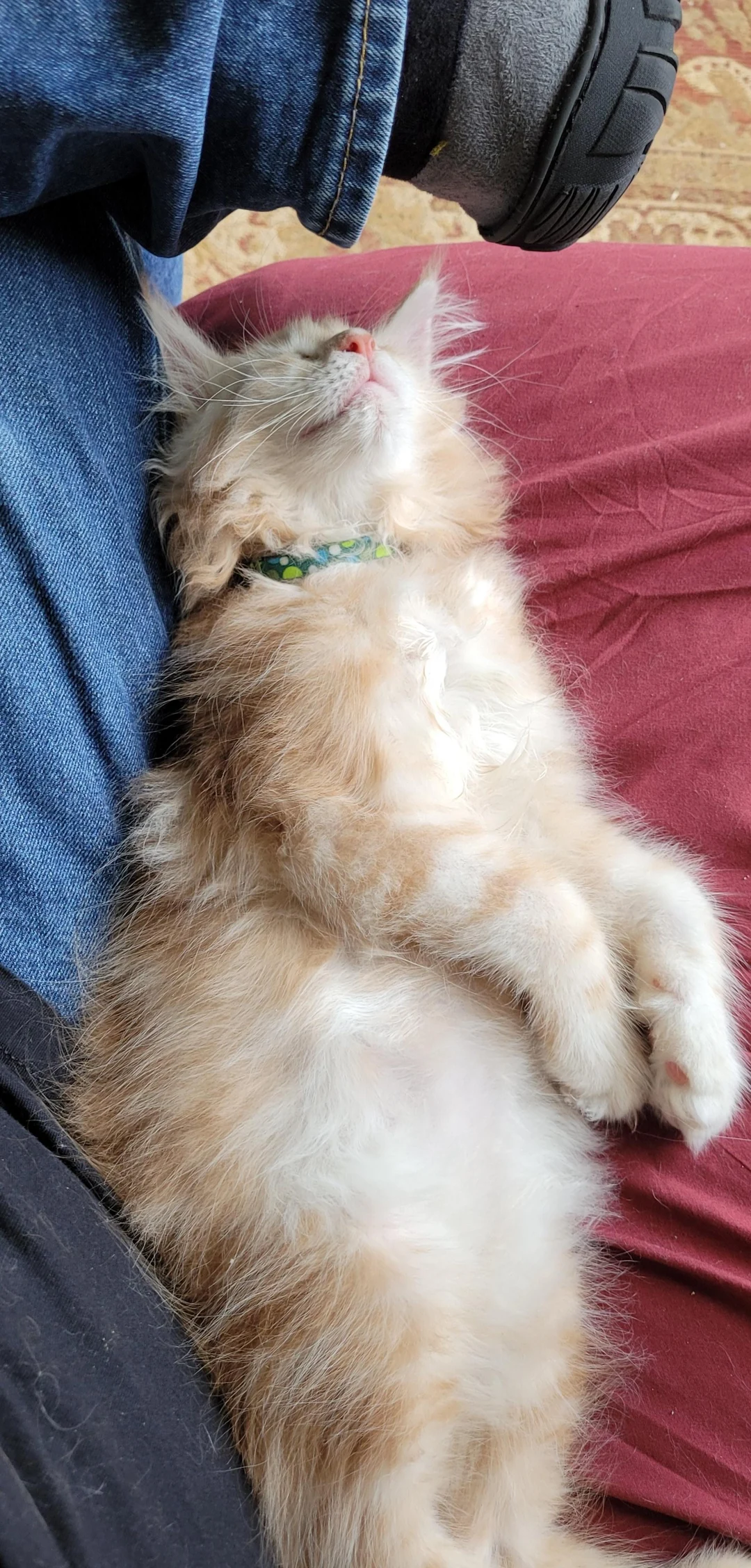 Sleepy Simon | Scrolller