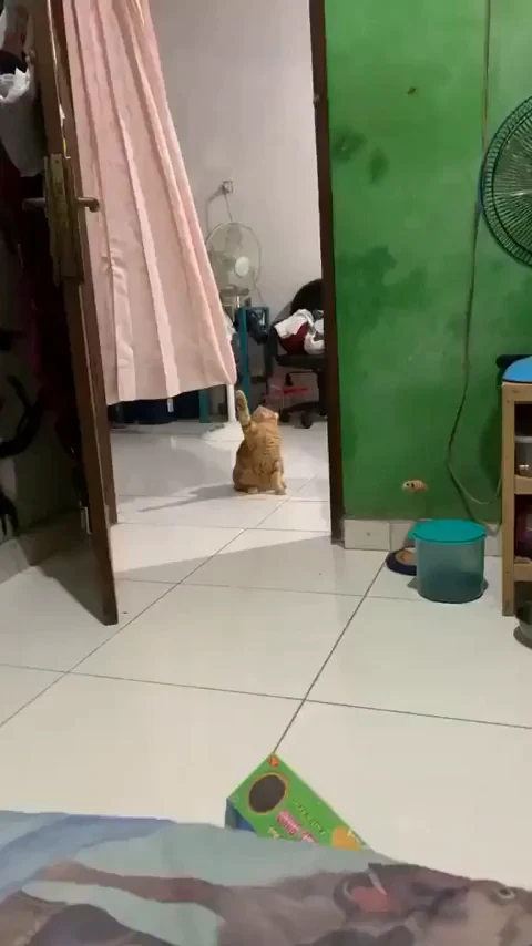 Im dying | Scrolller