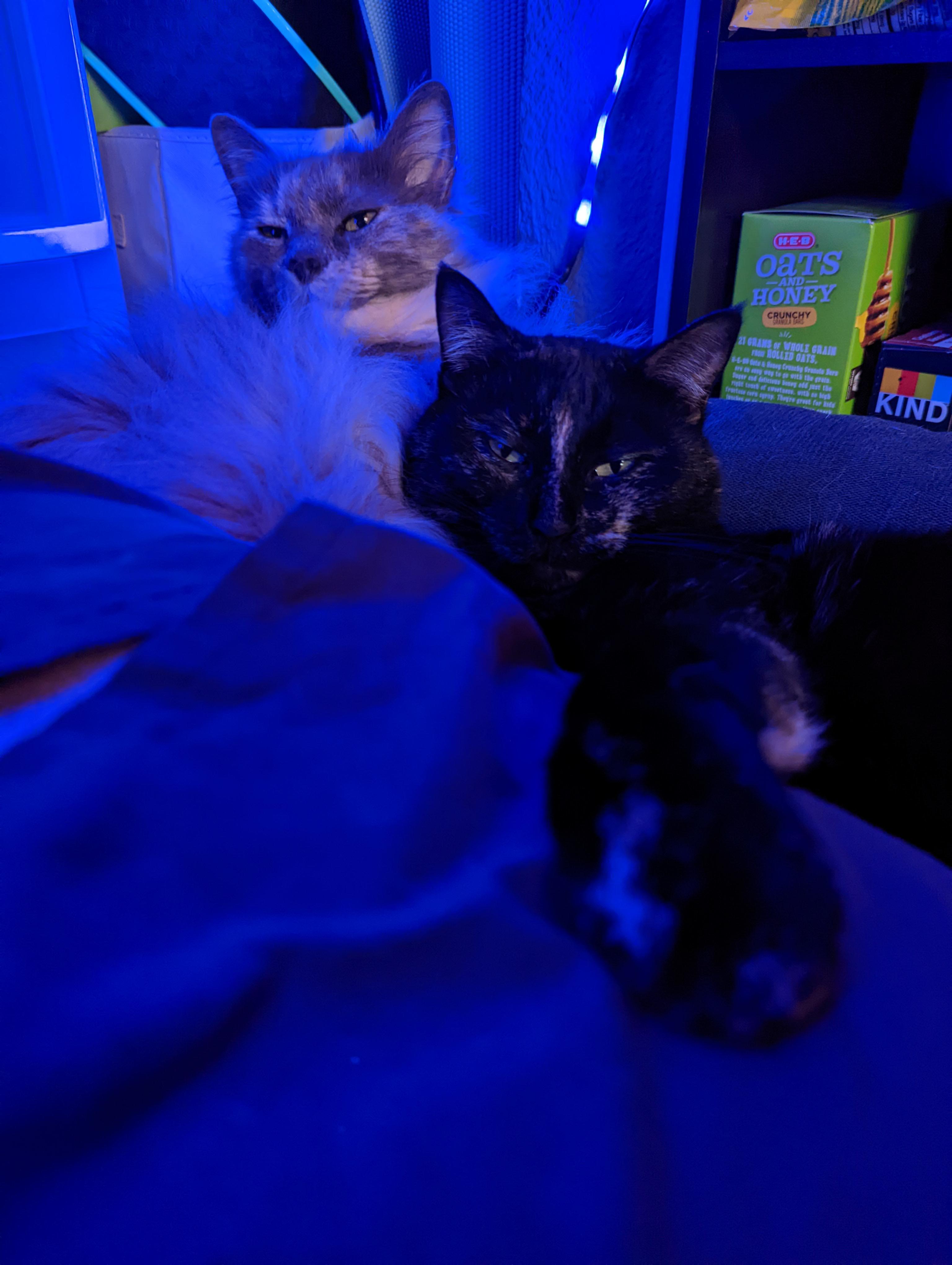 My Girls Scrolller