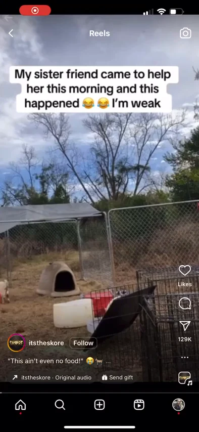 Discover more like HolUp: HolUp this ain’t even no food. and Related Content | Scrolller