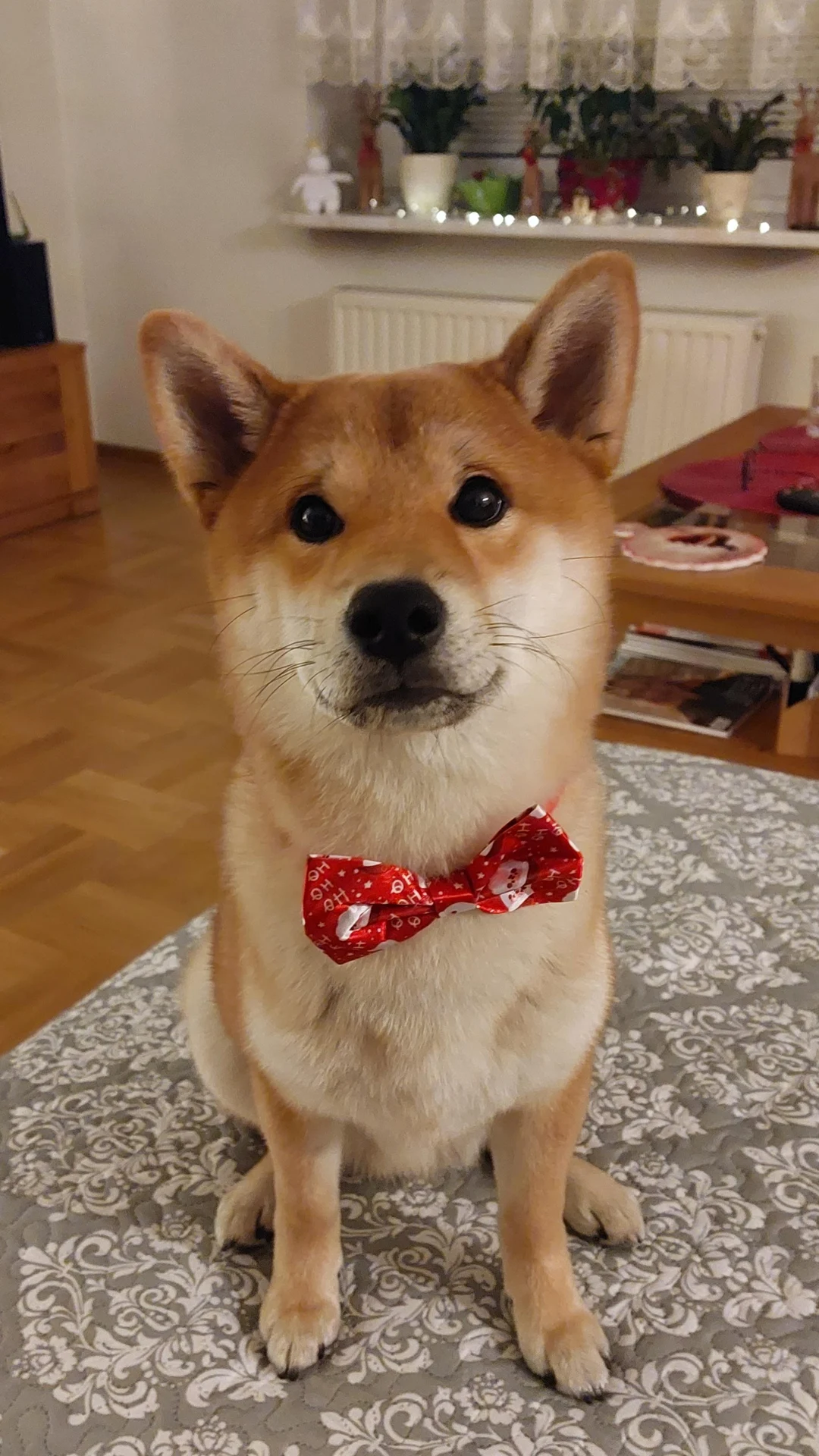 Taiko sends best wishes! | Scrolller