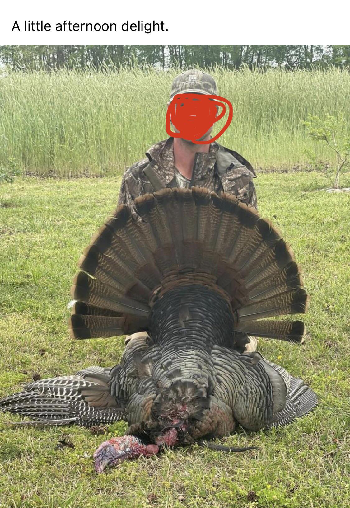 Wait wut. | Scrolller