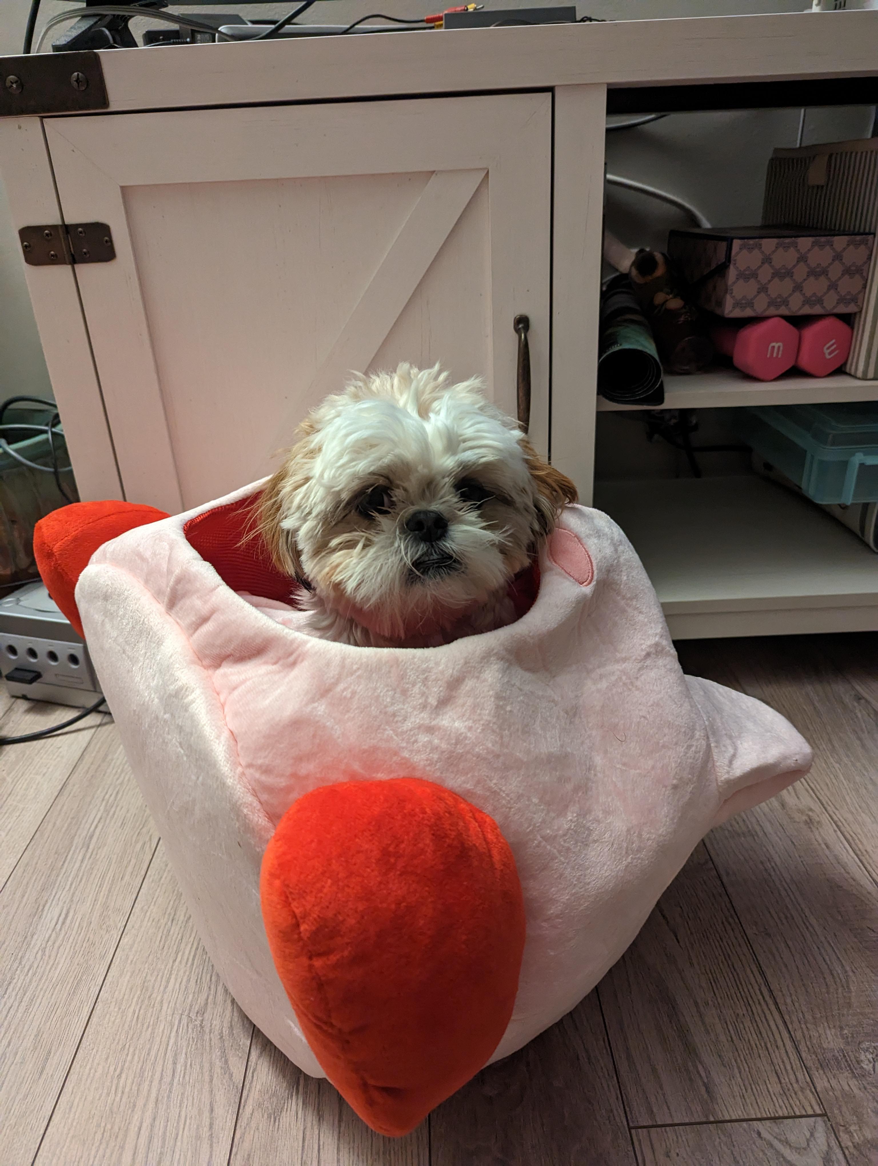 Kirby Swallowed Our Boy | Scrolller