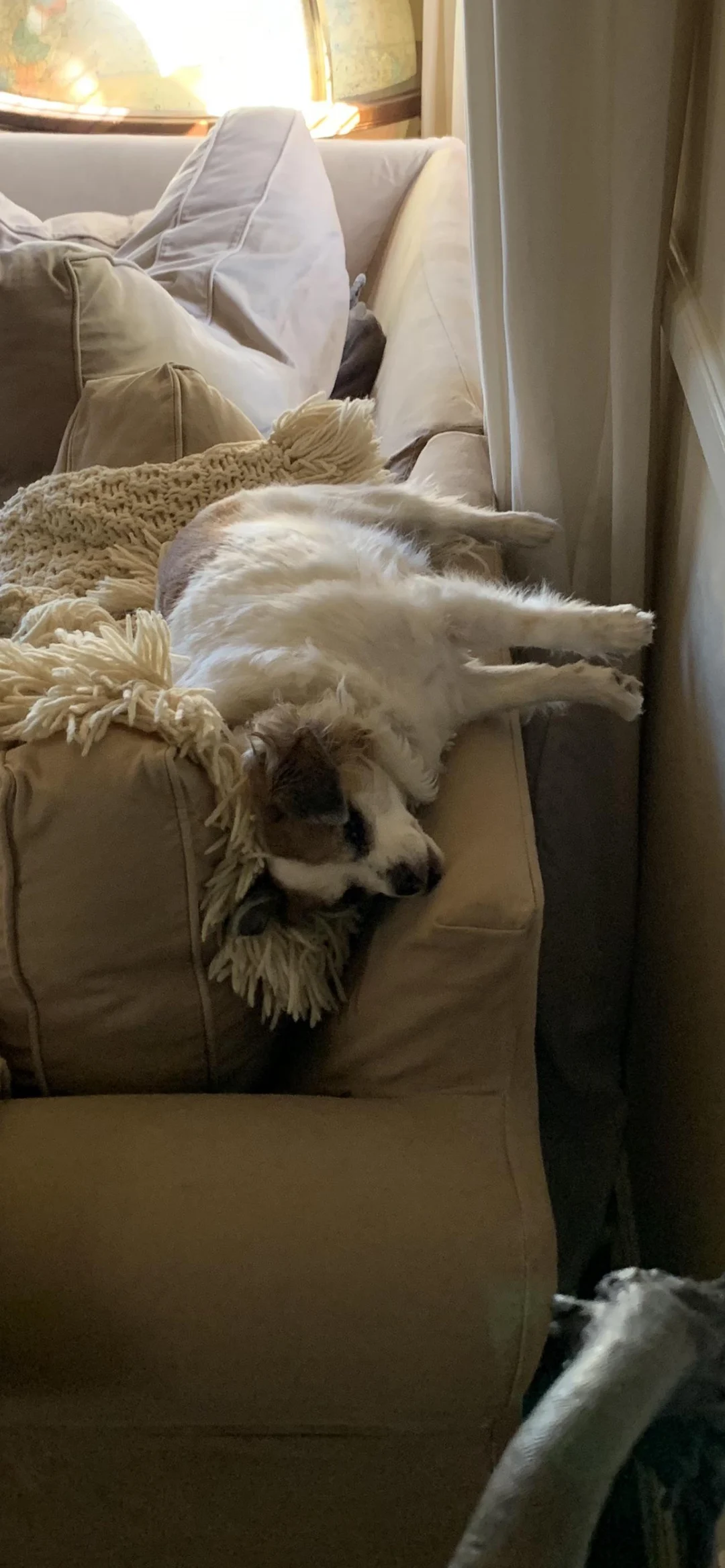 This is just how she naps | Scrolller