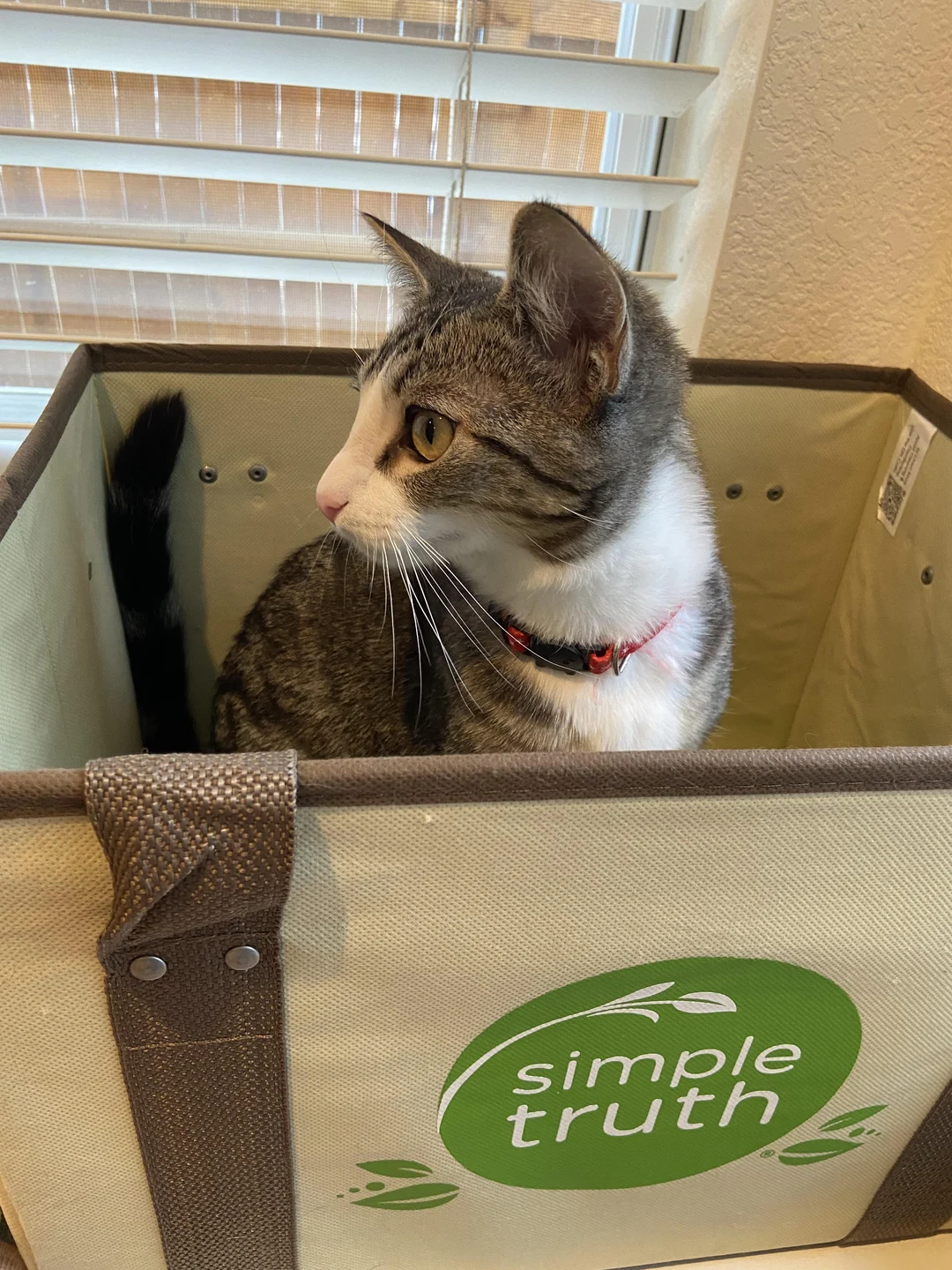 kitchen trap! | Scrolller