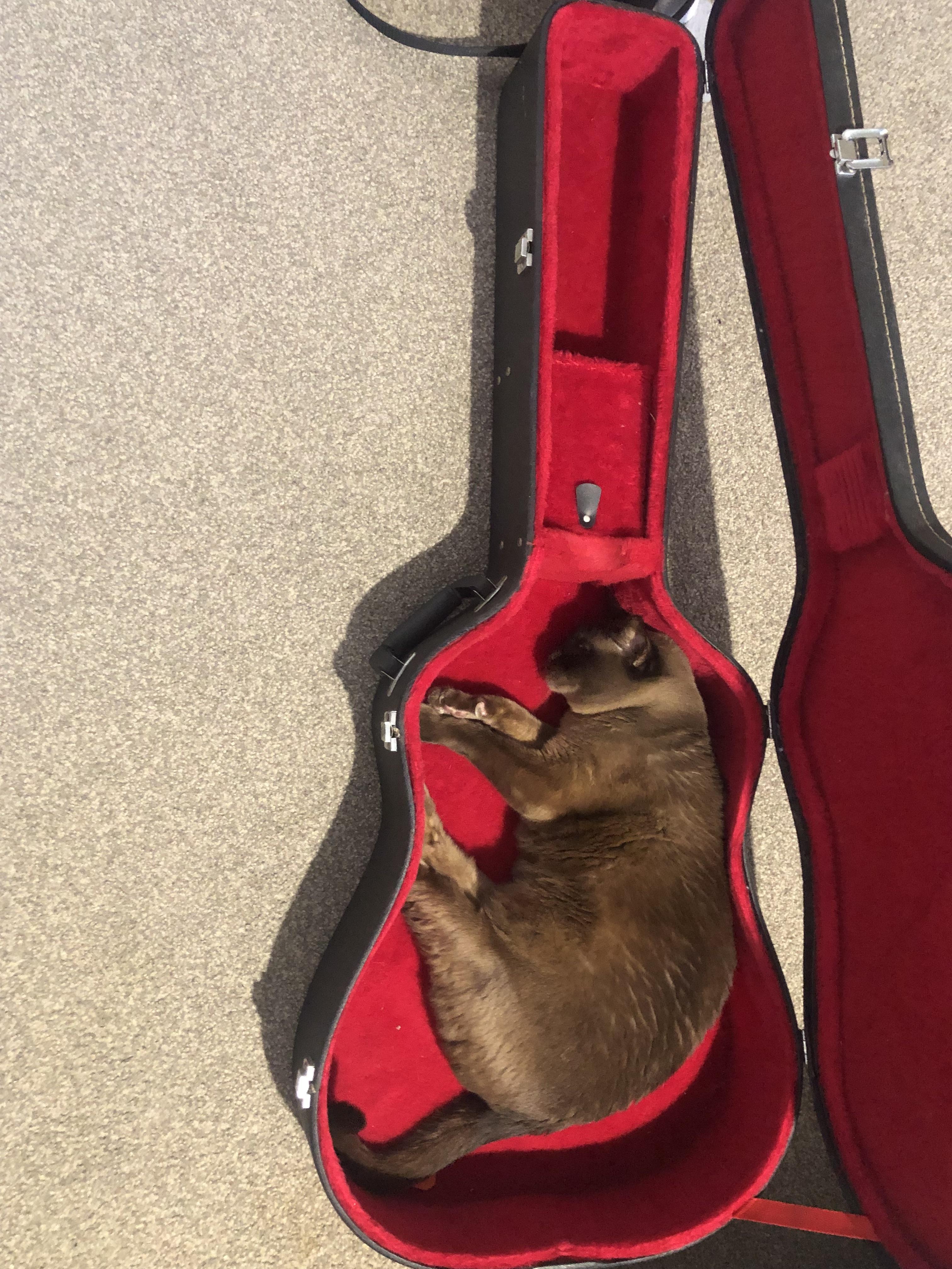 What’s the toan like?? | Scrolller