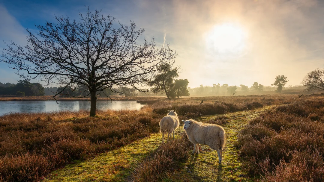 Outdoors (3840 x 2160) | Scrolller