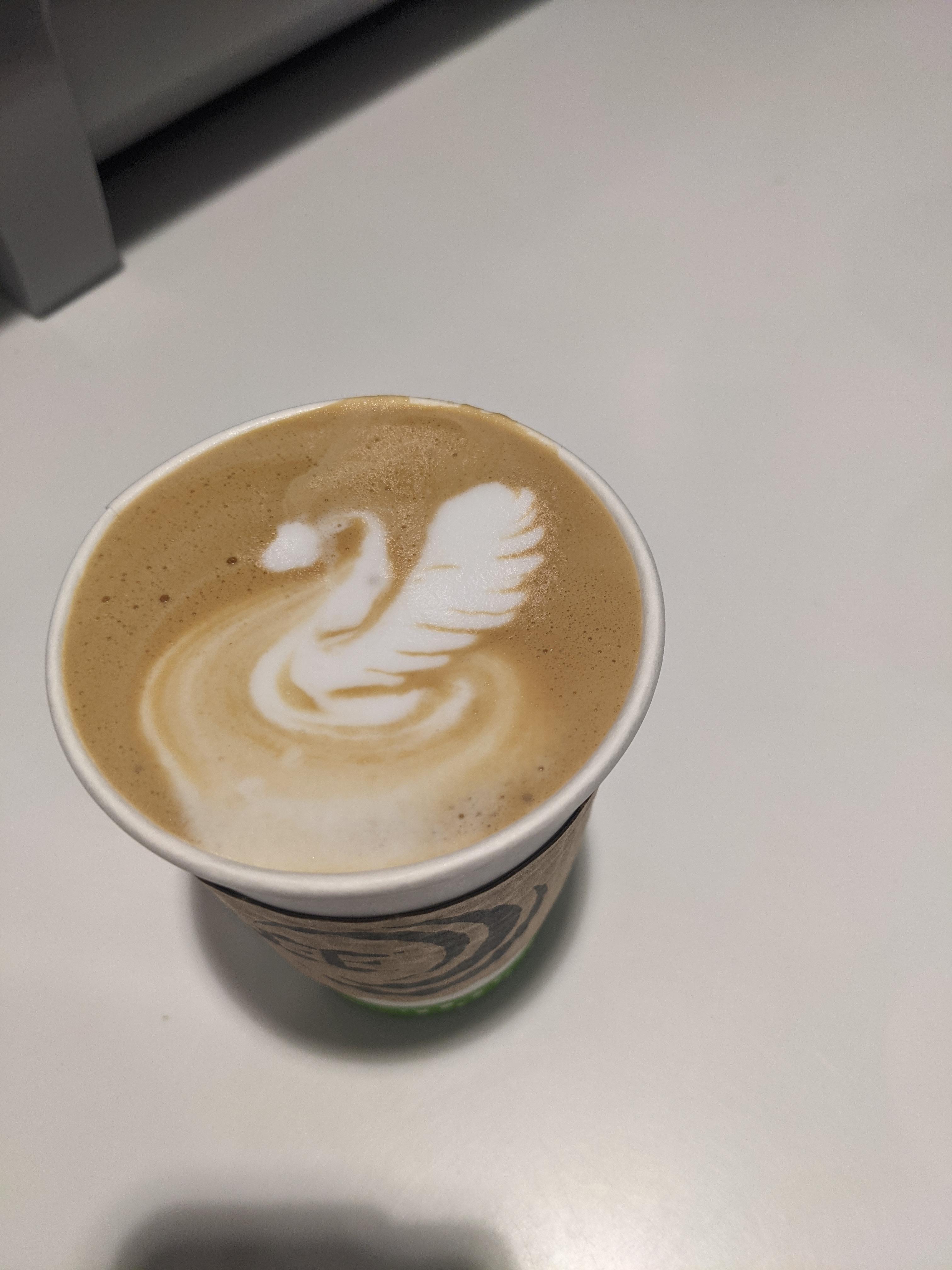 My first ever swan | Scrolller