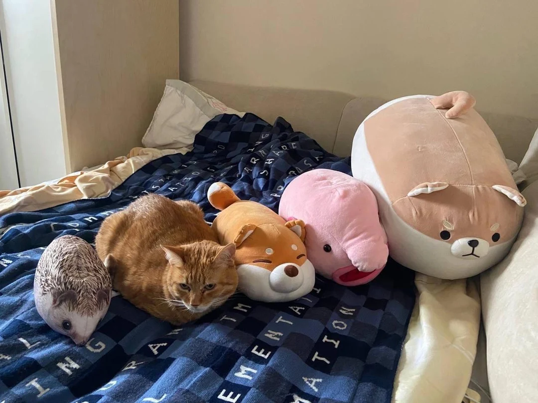 Loaf Squad | Scrolller