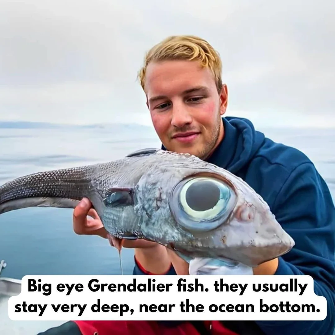 PEEPERS ARE REAL! | Scrolller