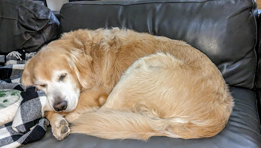 Cozy Cooper | Scrolller