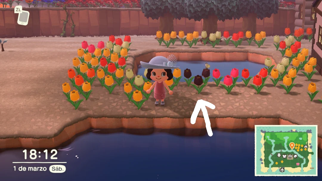 Black tulip? | Scrolller