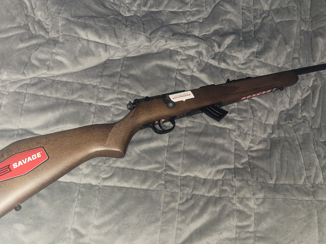 New 22 LR spent casings getting stuck | Scrolller