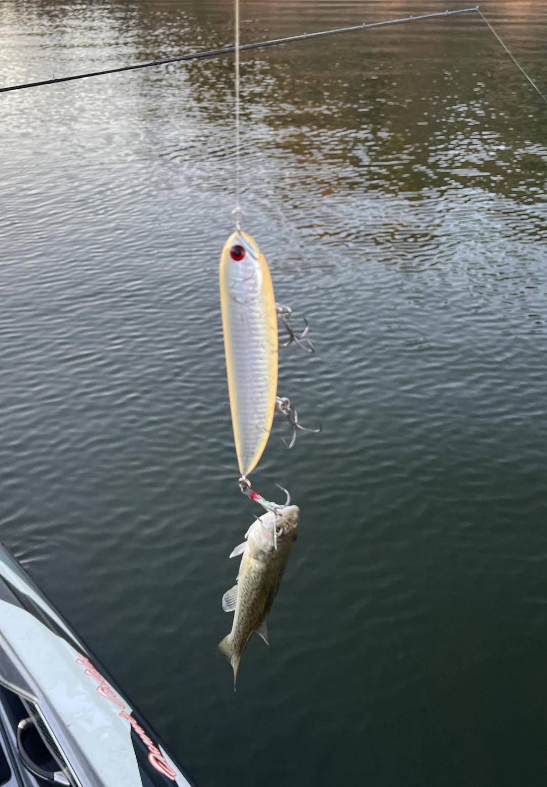 First Topwater Catch | Scrolller