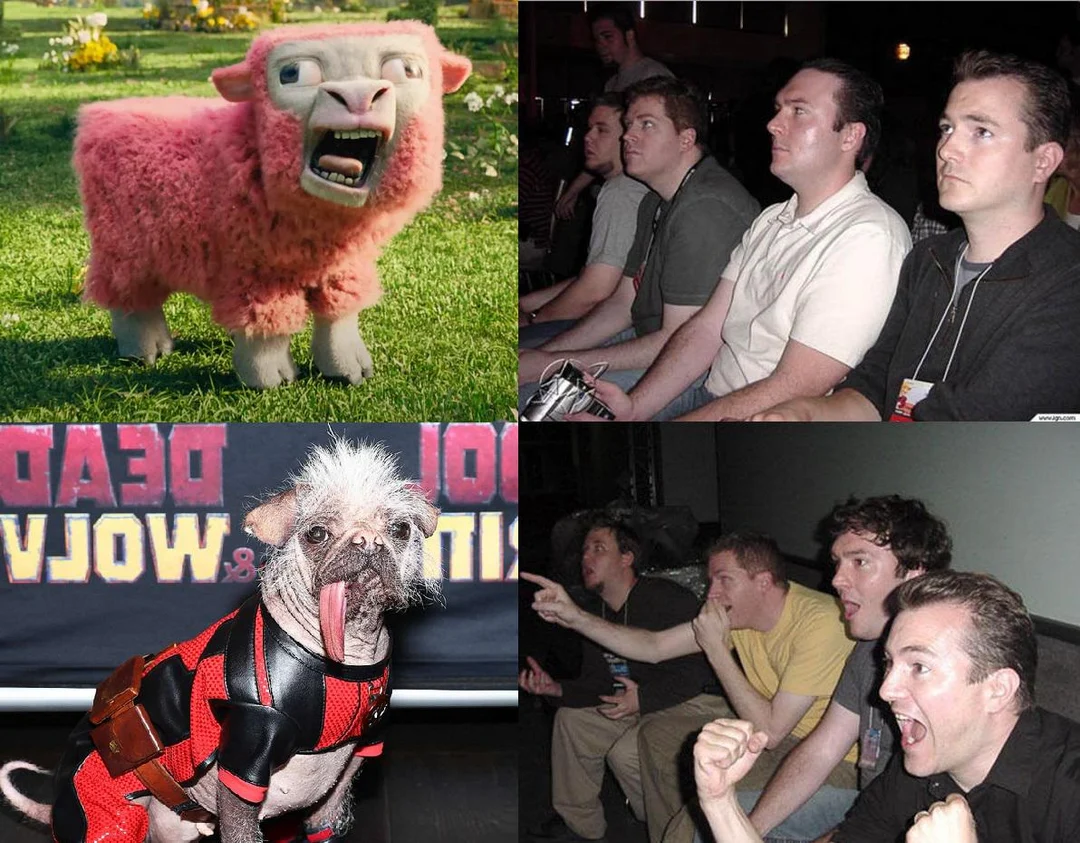 -- SPOILER -- Deadpool pig | Scrolller