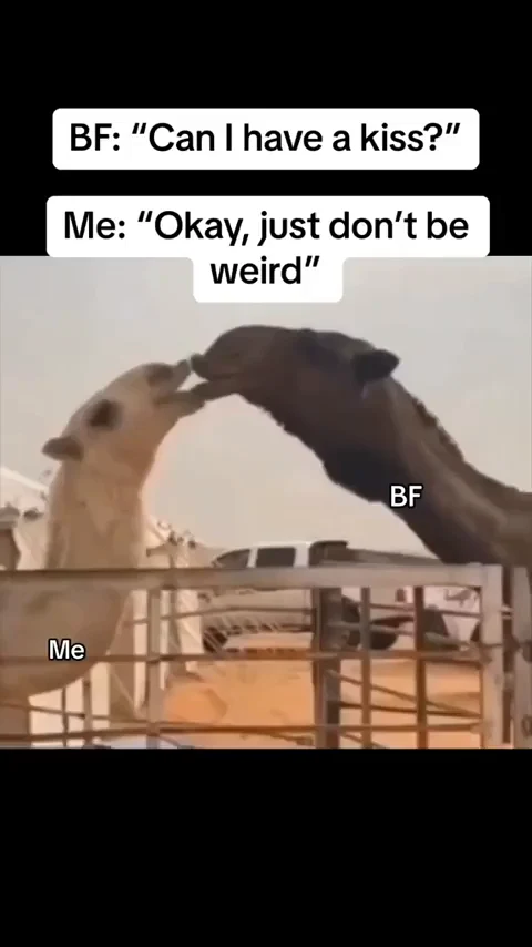 During passionate romance | Scrolller