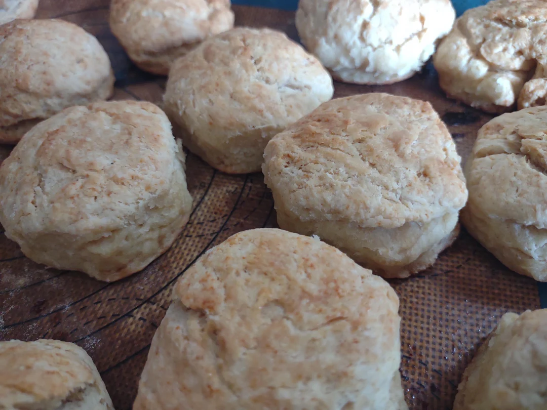 Biscuits | Scrolller