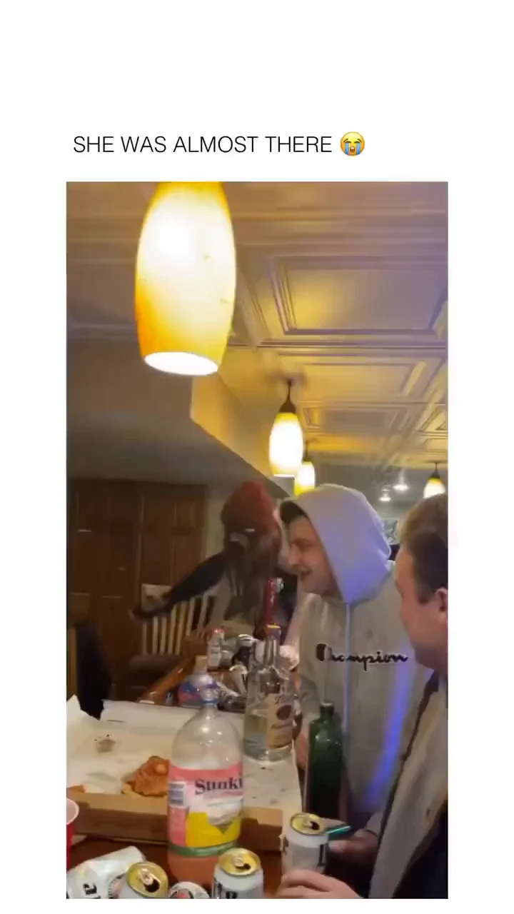 HMC while I almost there | Scrolller