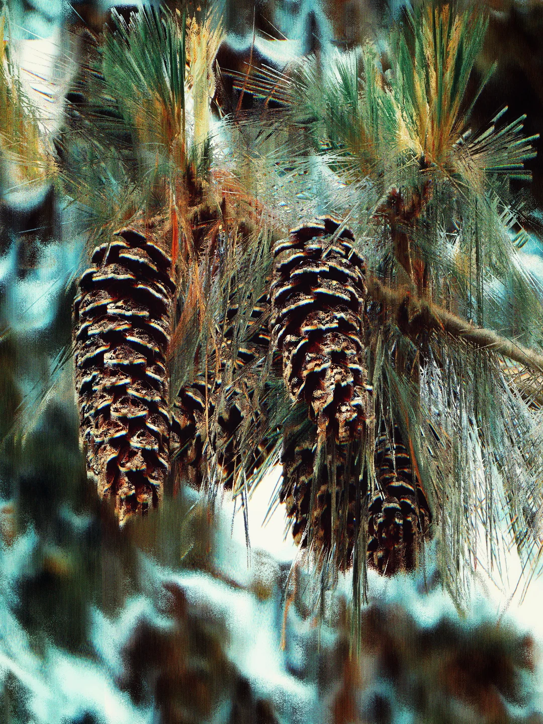 [3456x4608] 'Konos' [OC] | Scrolller