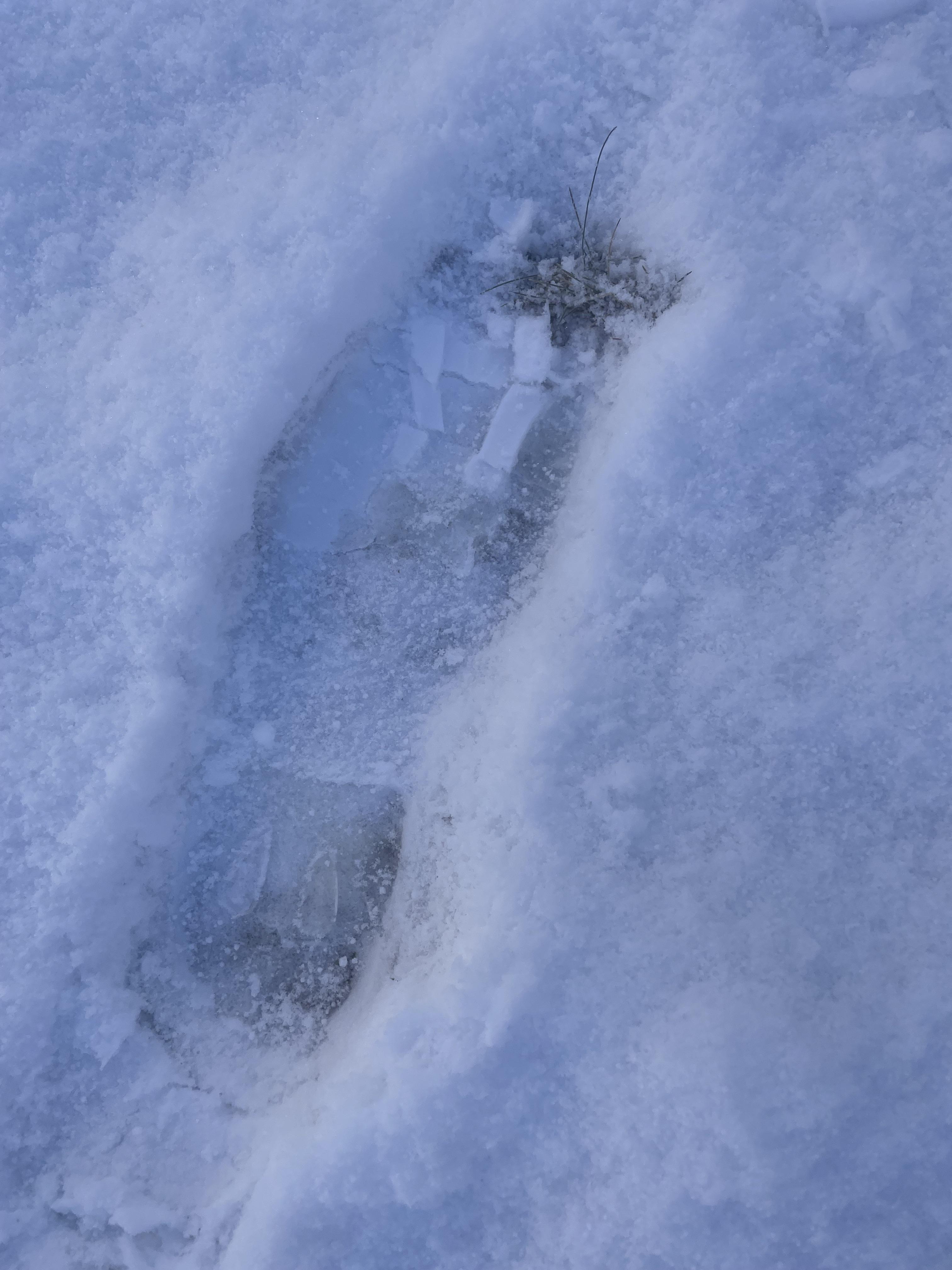 Someone just slashed my tires, anyone recognize this footprint? | Scrolller