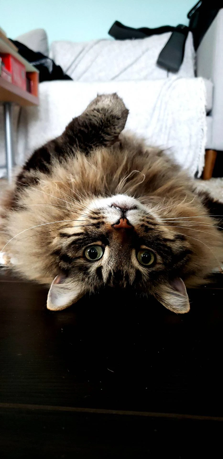 Thor my 12 year old derp. | Scrolller