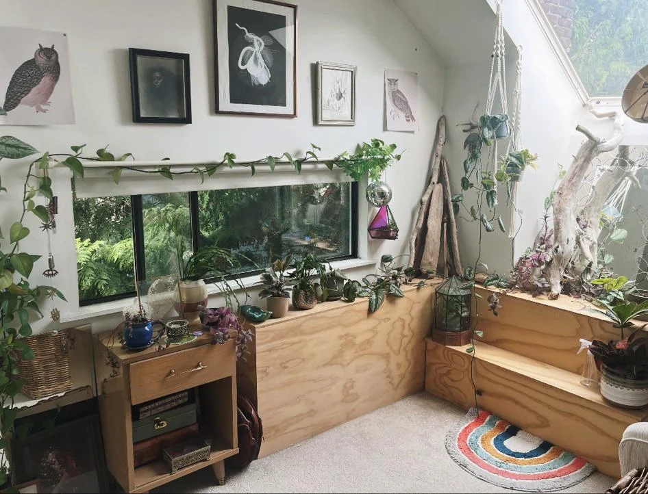 My cozy plant corner | Scrolller